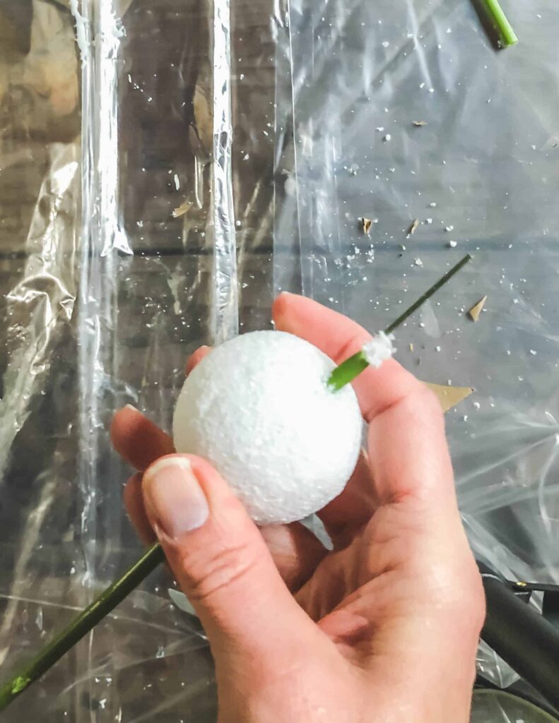 DIY | Tulip Bulb Planter - Cottage On Bunker Hill
